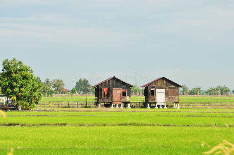 Village house stock image. Image of paddy, field, relax - 30372639