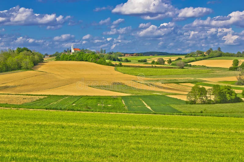 Vignoble Et Nature Idylliques De Colline De Printemps Photo stock ...