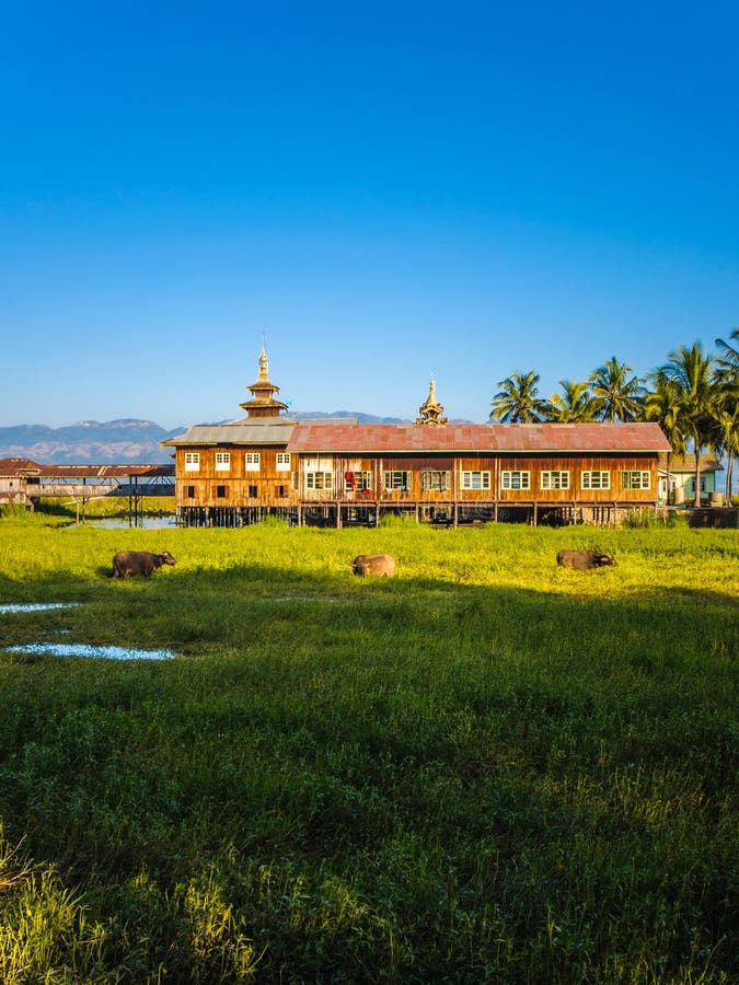 Village of Inle stock image. Image of myanmar, asia, burmese - 58142895