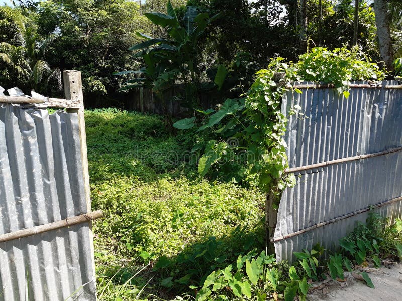 3,080 Jungle Gate Stock Photos - Free & Royalty-Free Stock Photos from ...