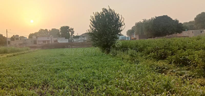 Khanewal Pakistan Stock Photos - Free & Royalty-Free Stock Photos from ...