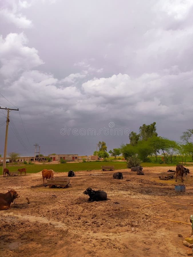 Village of khushab stock photo. Image of khushab, natural - 179628890
