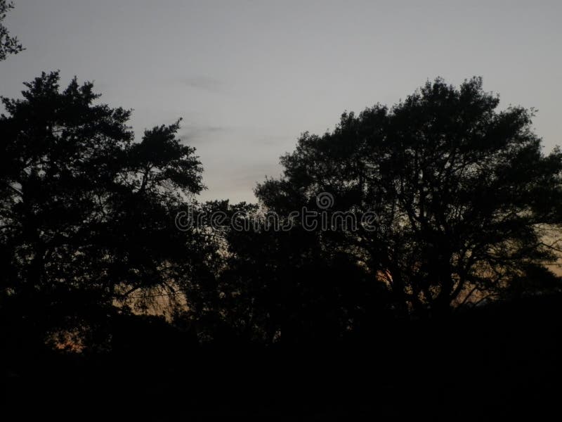 Village Little Forest and Over There Sunsets. Stock Image - Image of ...