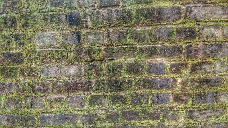 135,624 Local Background Photos - Free & Royalty-Free Stock Photos from ...