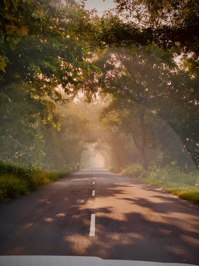 Village morning life stock photo. Image of village, trending - 257982078