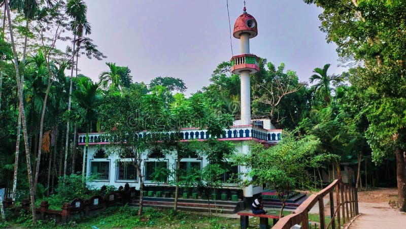 A Village Mosque of BD stock image. Image of mosque - 242877971