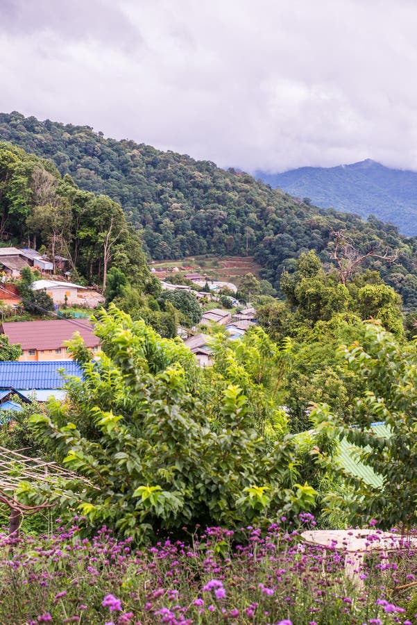 Village on Mountain at Mon Cham Editorial Stock Photo - Image of mist ...