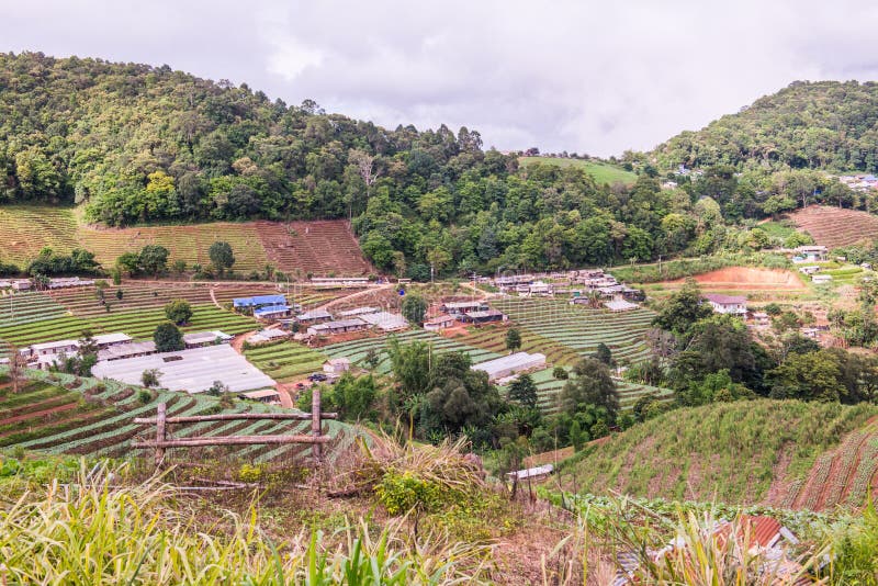 Village on Mountain at Mon Cham Stock Image - Image of point, mountain ...
