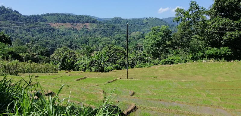 471 Badulla Photos - Free & Royalty-Free Stock Photos from Dreamstime