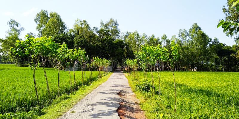 Village Park pathway stock image. Image of flower, park - 233217197