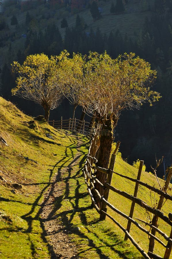 Village path in mountains stock photo. Image of grass - 27339726