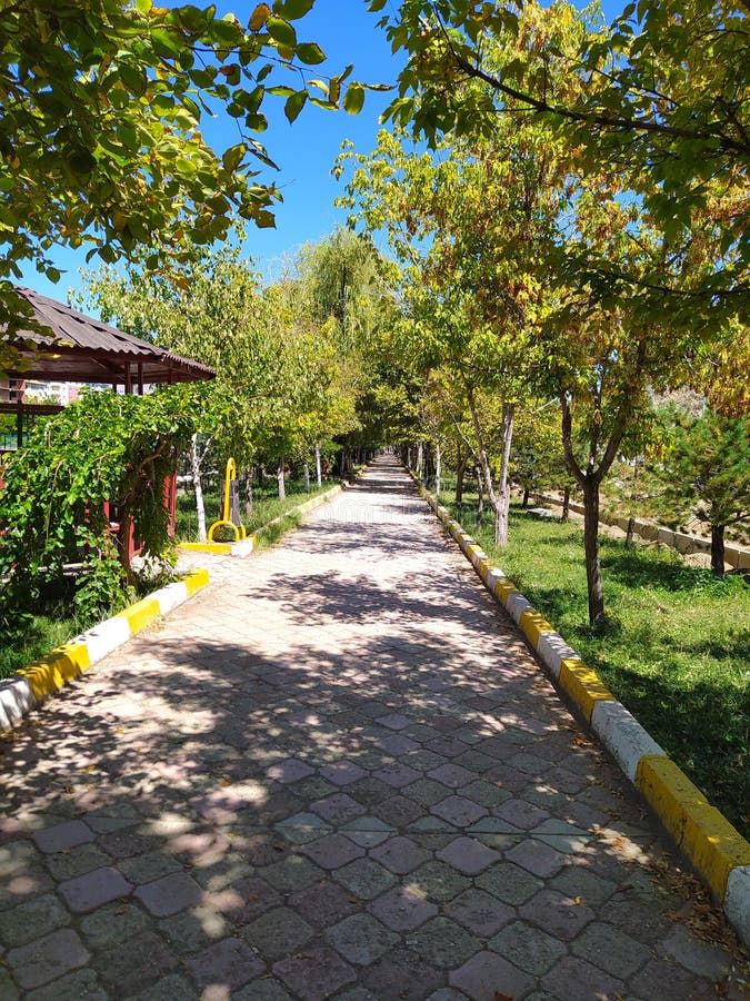 Village path small stock photo. Image of hair, glasses - 196037496