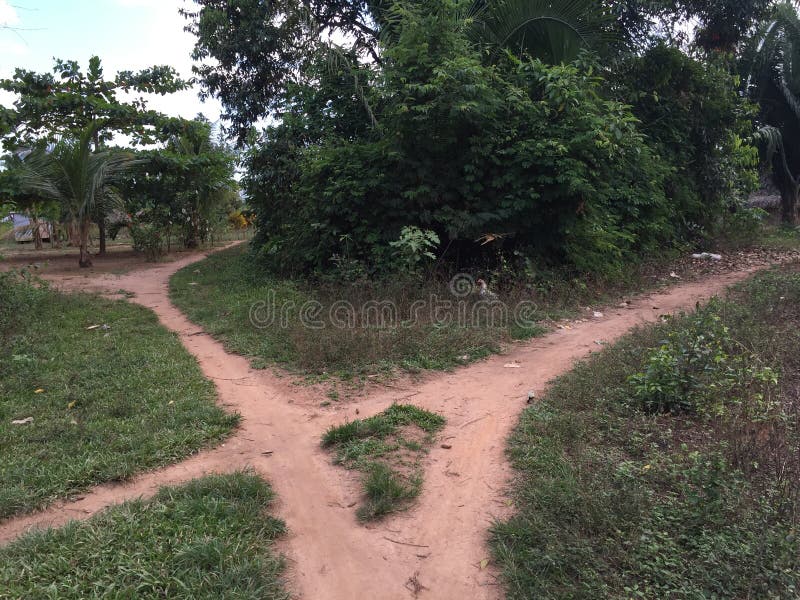 Village pathways stock image. Image of trees, pathways - 132668171
