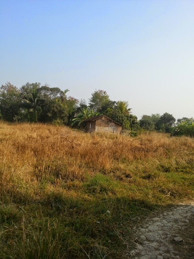 A Indian Village Pictures Side Stock Image - Image of wetland, plain ...
