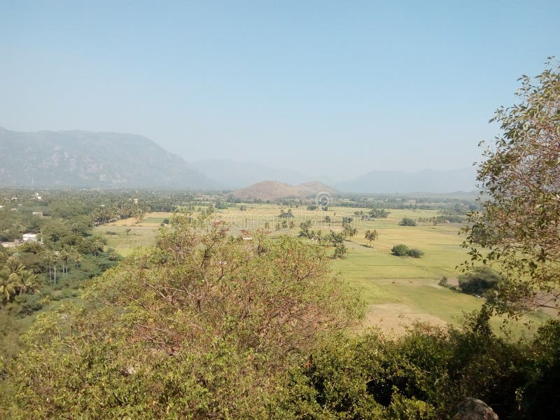 Village piture stock photo. Image of tree, ecoregion - 90435004