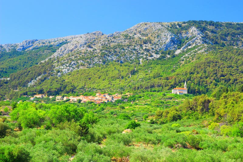 Pitve Stock Photos - Free & Royalty-Free Stock Photos from Dreamstime