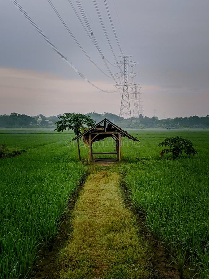 A Village in Purwakarta, West Java, Indonesia Stock Photo - Image of ...