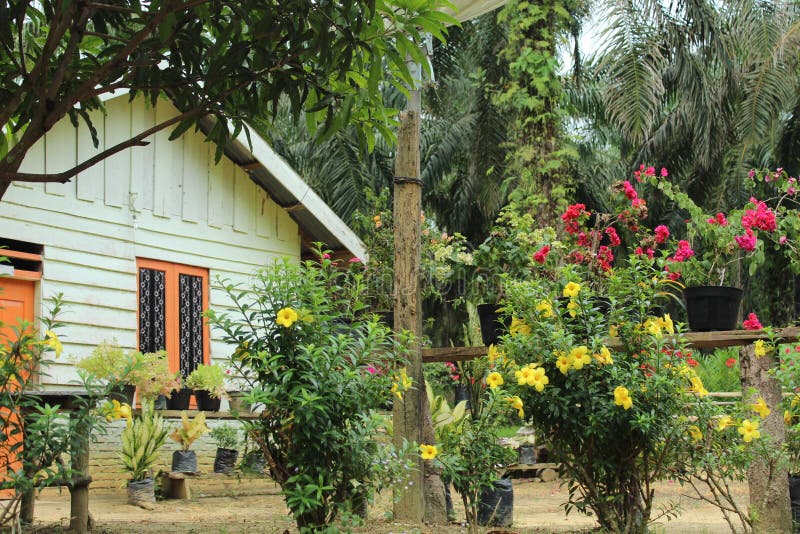 The Village is Rich in Plants Stock Image - Image of cottage, rich ...