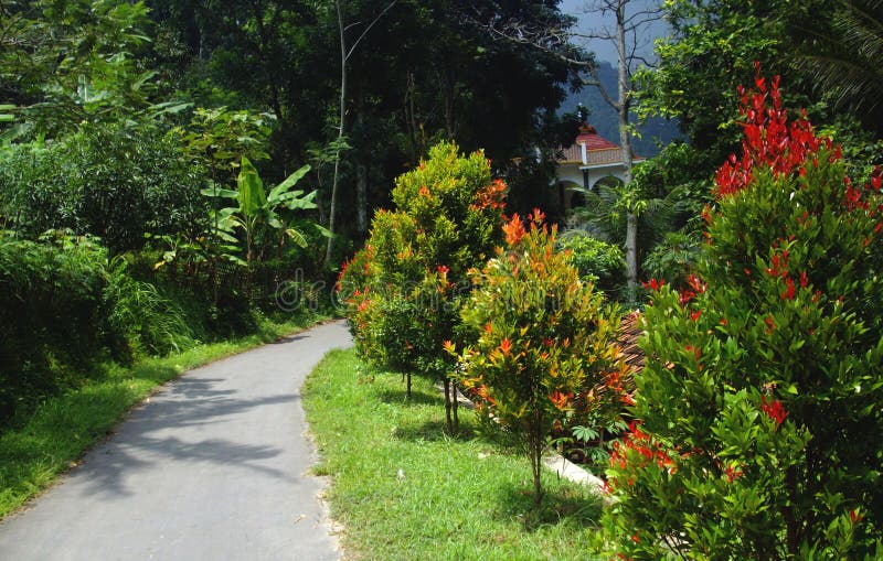 Village Road Cool. Basic RGB Stock Image - Image of foliage, design ...