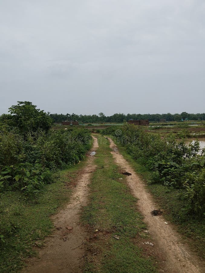Village Road Cultivation Bricks Stock Photo - Image of cultivation ...