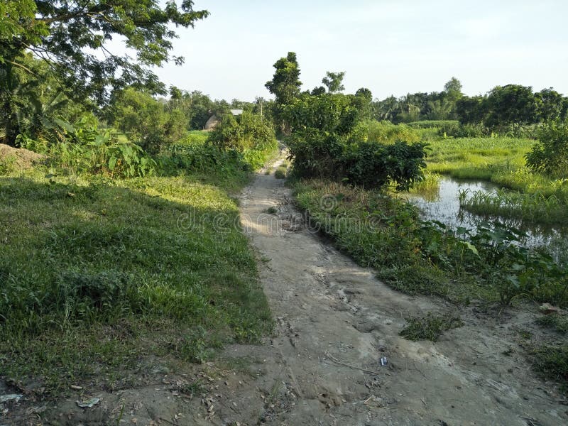 Village Road stock photo. Image of normal, view, road - 96965638