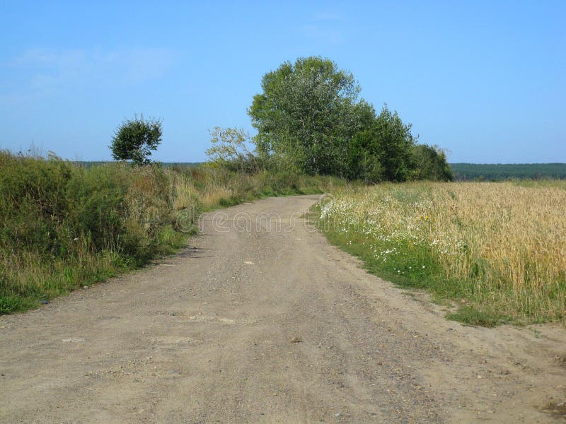 Village road stock image. Image of skyline, field, trees - 61990295