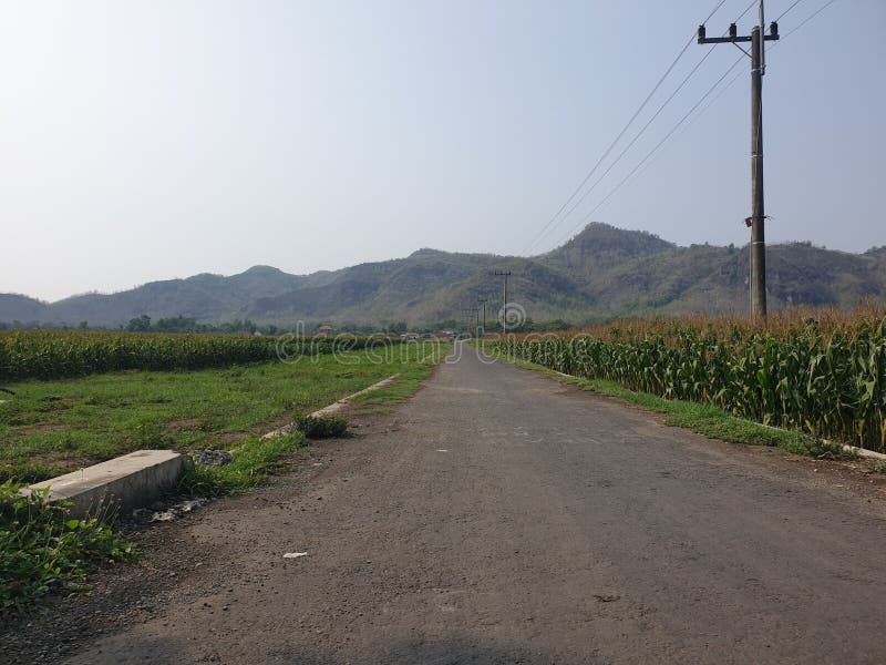 Village Road To Mountain and Rice Fields on Side Make Fresh Views Stock ...