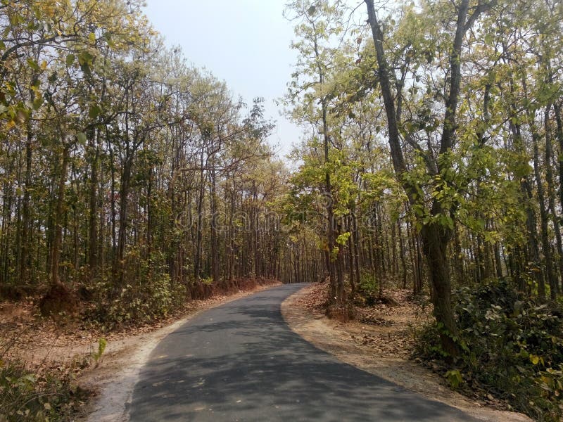 Village road stock photo. Image of green, road, natural - 43036572