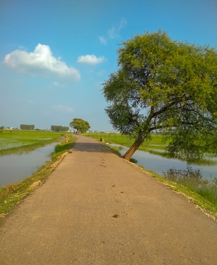 Village Road with Tree and Water on the Sides and Sky Stock Image ...