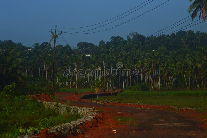 Village Road Under Construction through the Paddy Field Stock Photo ...