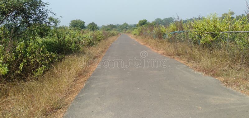 Village Road Unknown Road without People Stock Image - Image of animal ...