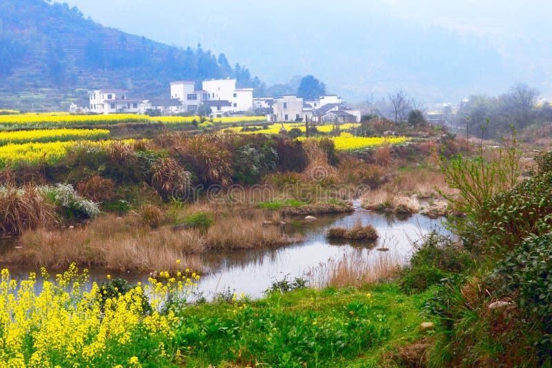 Village scene stock image. Image of grass, classic, houses - 16221039