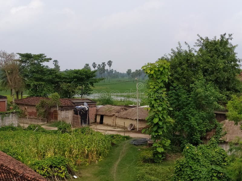 The village scene stock photo. Image of scene, trees - 195679602