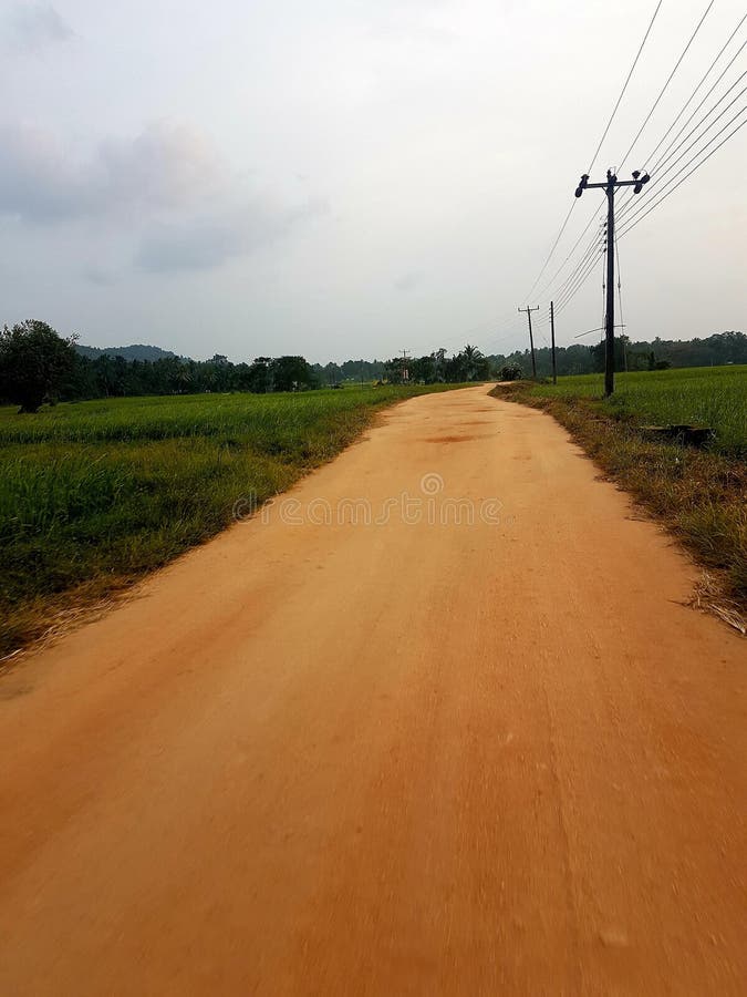 Village Side Road in Sri Lanka. Stock Image - Image of road, paddyfield ...