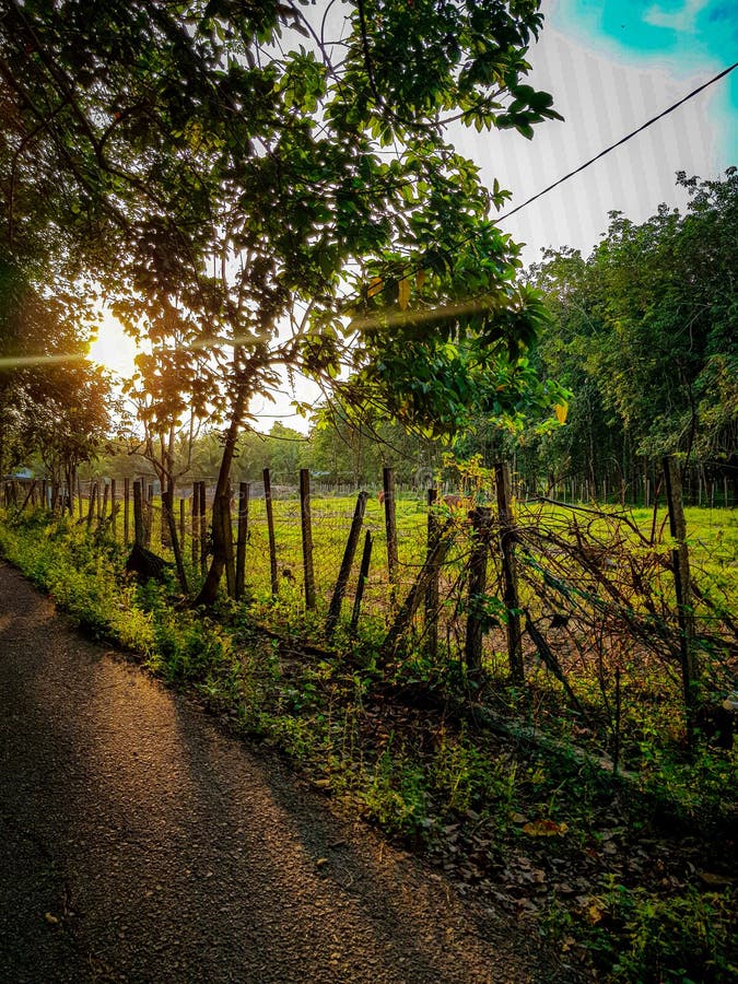 Village side rural places stock photo. Image of land - 189134314