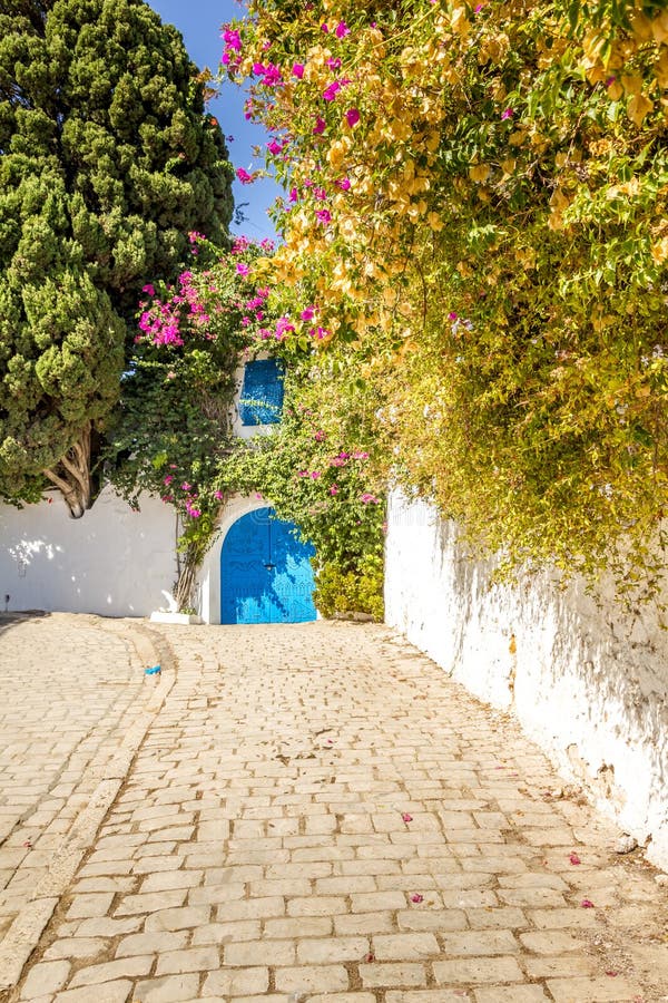 The Village of Sidi Bou Said, Tunisia Stock Photo - Image of scenic ...