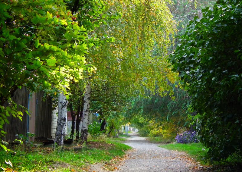 Village street stock image. Image of park, village, nature - 107113417