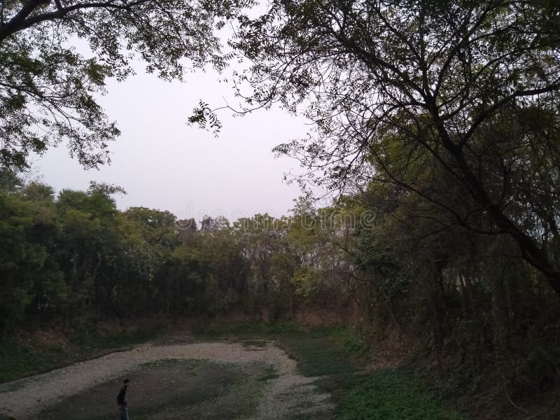 Village trees photo stock image. Image of villagephoto - 137581963