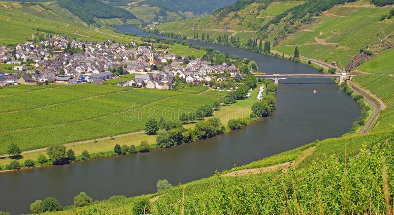 Village Trittenheim,Mosel,Germany Stock Image - Image of viniculture ...