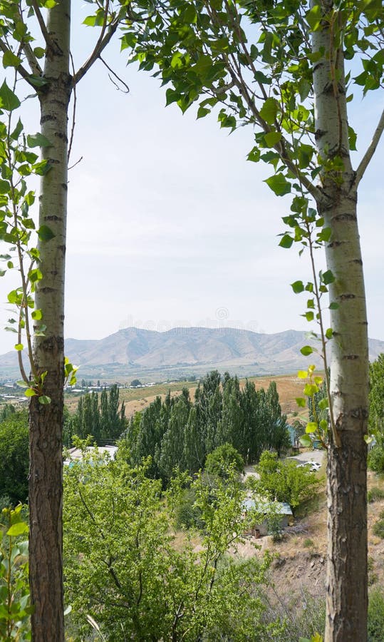 A Village between Two Trees Stock Photo - Image of hill, aerial: 306983582