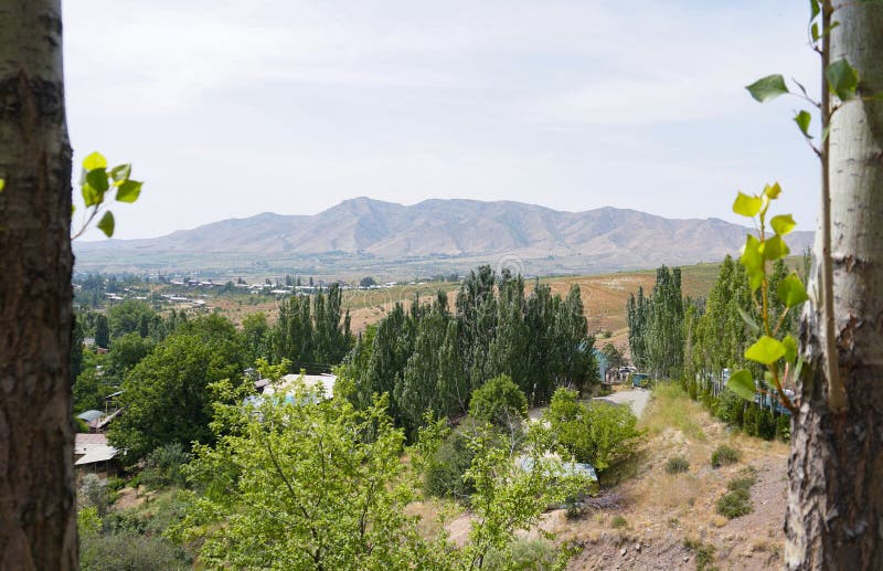 A Village between Two Trees Stock Photo - Image of grass, mountain ...