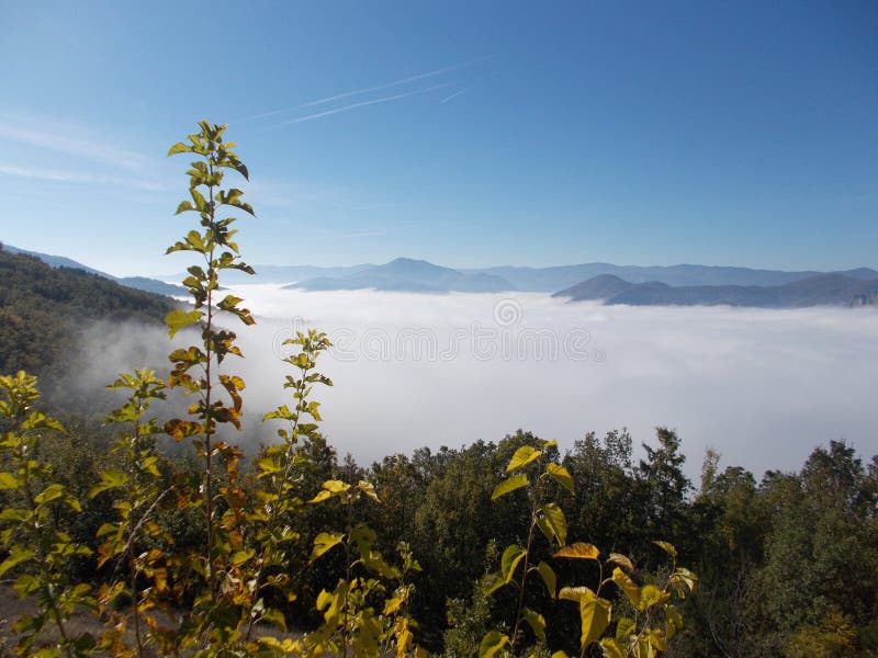 Village under fog stock image. Image of sunny, blue - 101712247