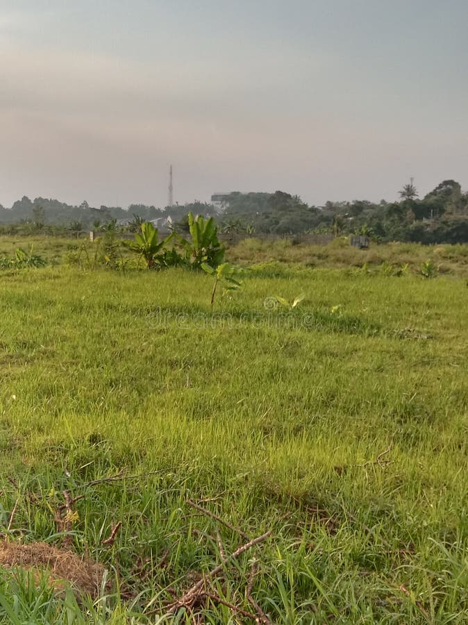 Village View Amazing Green Grass Stock Photo - Image of grass, amazing ...