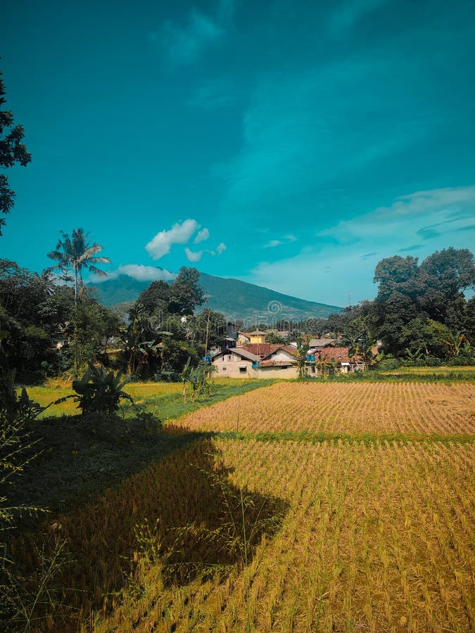 Village View Close To the Mountains, Very Beautiful Village Stock Photo ...