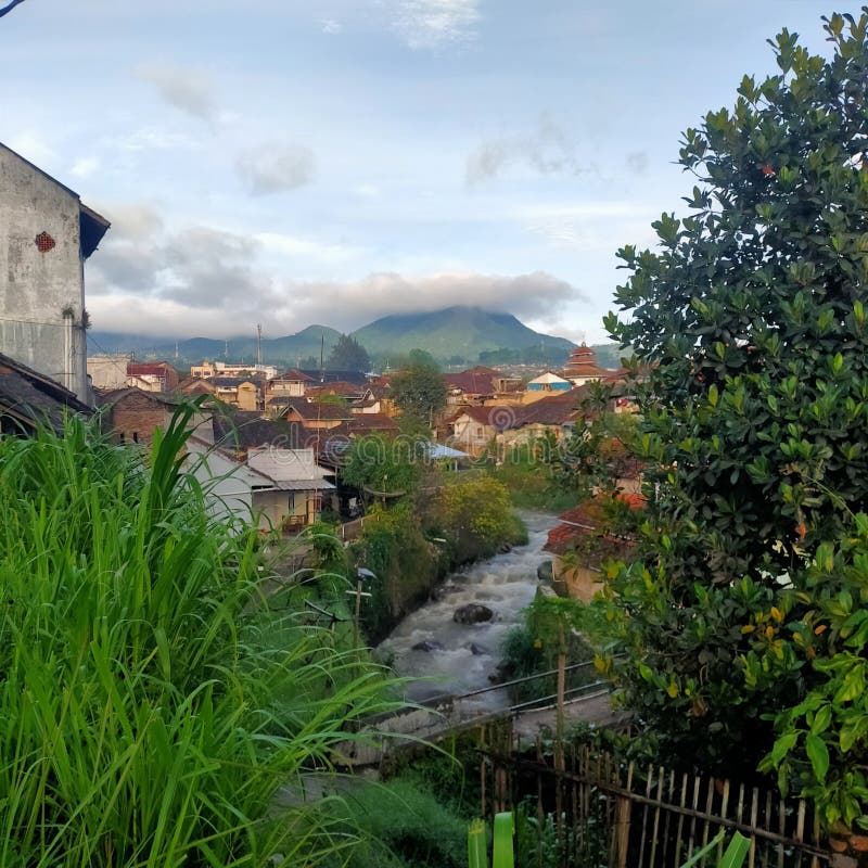 Village View Surrounded by a Clear River, Grass and Trees Standing ...