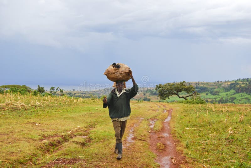 Village Work editorial stock image. Image of roads, farm - 26972019