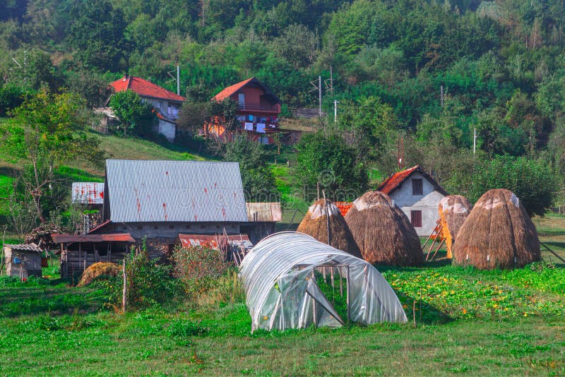 Village Yard with Hay Stack Stock Photo - Image of natural, farming ...