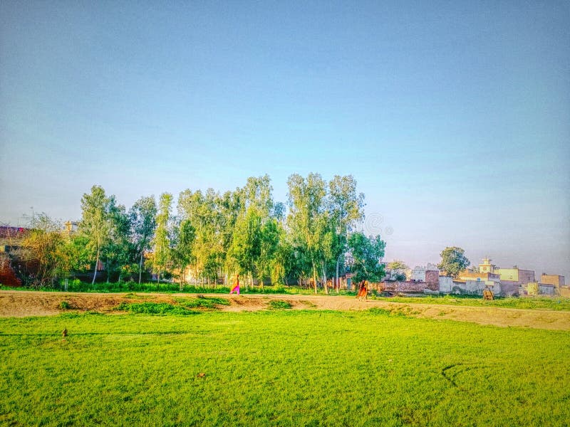 Villageview Greenery Nature Ground Sunset Stock Image - Image of ...