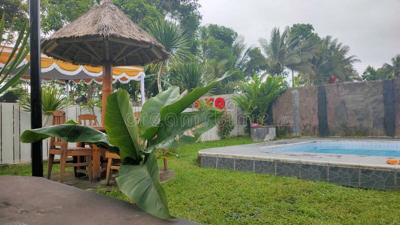 Villas tetebatu imagen de archivo. Imagen de planta - 263410821