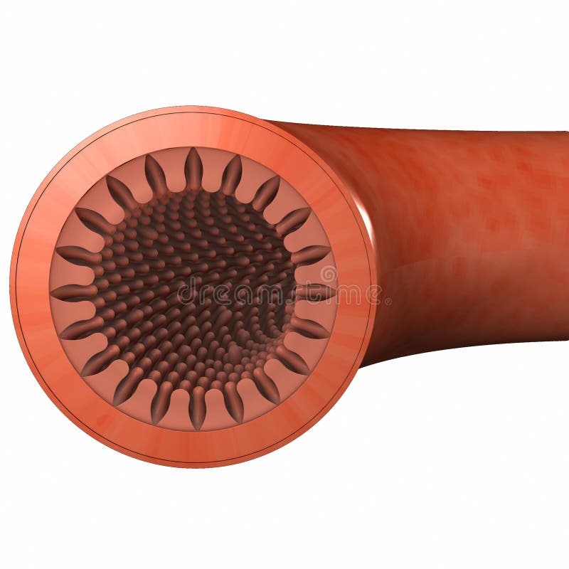 Villo illustrazione di stock. Illustrazione di alimentare - 48737784